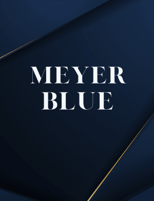 Meyer Blue E-Brochure | Easily Access and View the Brochure